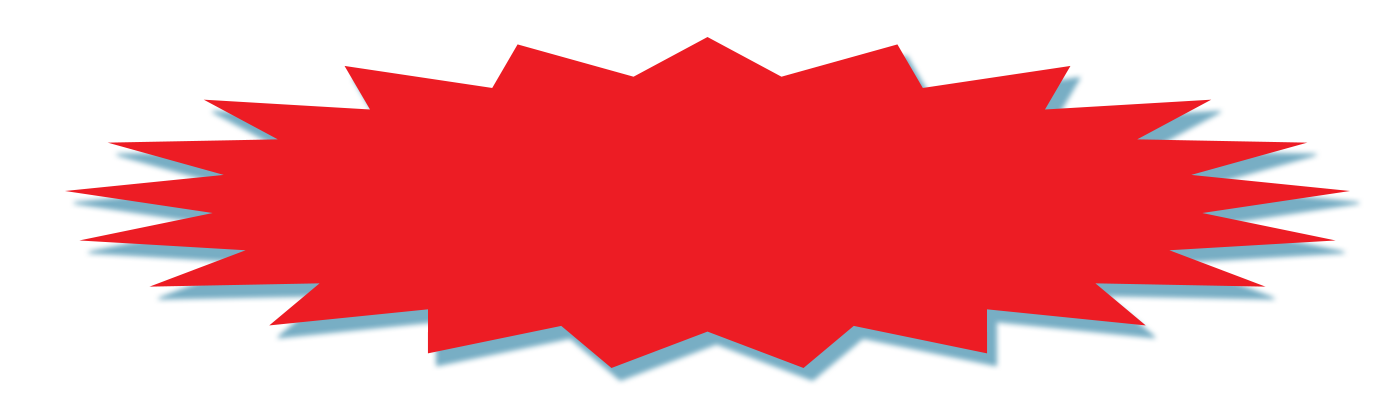 red-burst - The Arabian Saddle Company